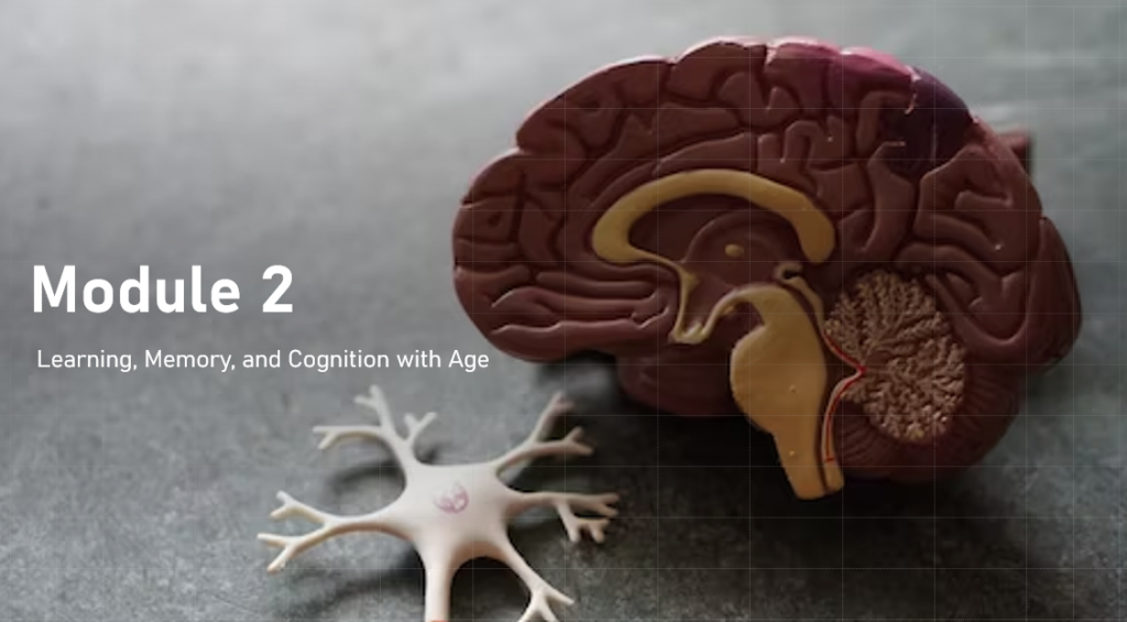 Module 2: Learning, Memory, and Cognition with Age - Therapeutic ...
